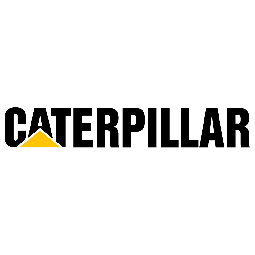 Caterpillar – Torque Treasure